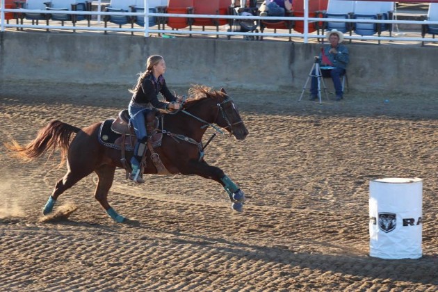 Ride The Wind Stables | Welcome to Ride the Wind Stables! The perfect ...