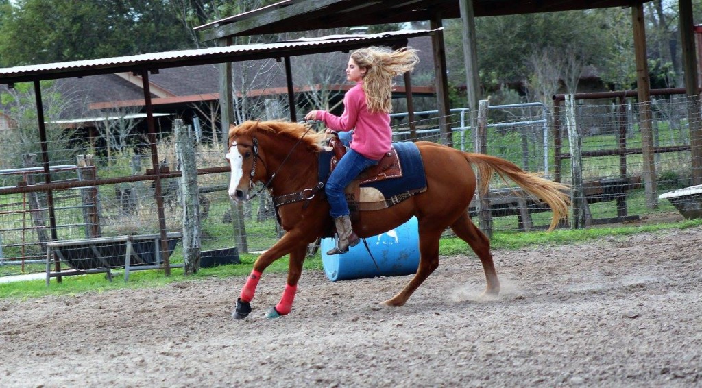 Ride The Wind Stables | Welcome to Ride the Wind Stables! The perfect ...